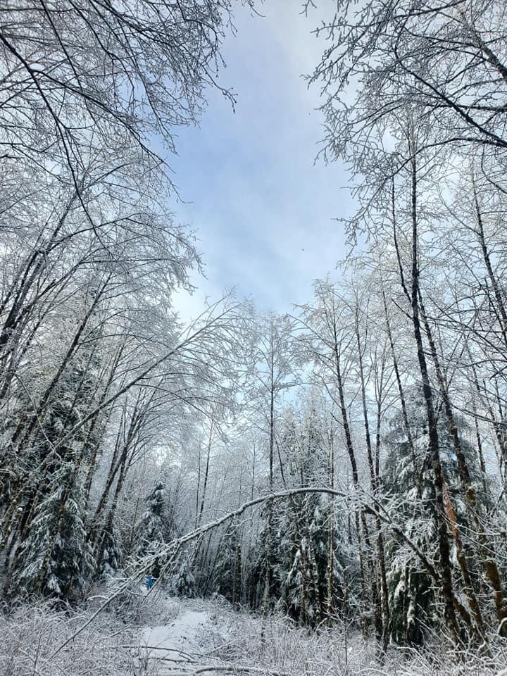 The Thunderword - Official Newspaper of Highline College